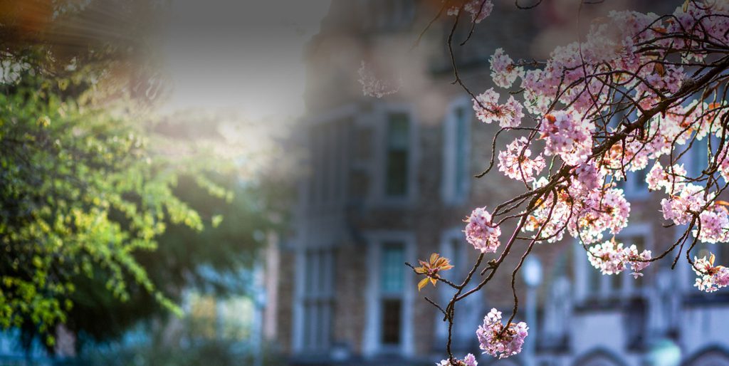 Engineering Shared Environment